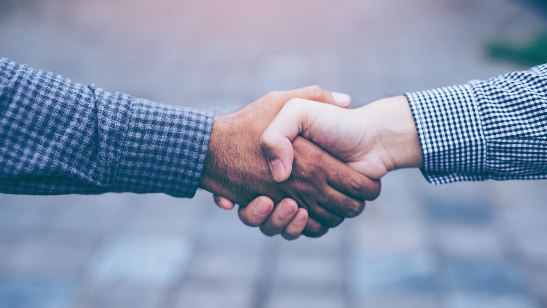 Home | Solvet Services